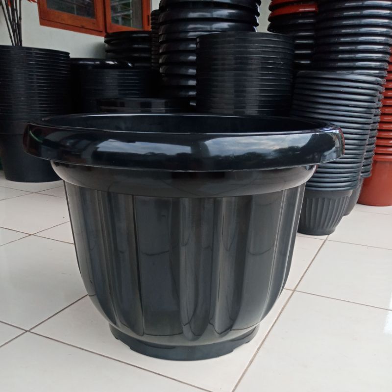 Jual POT BUNGA TANAMAN BESAR EBBONY UK 60/POT TANAMAN JUMBO BESAR ...