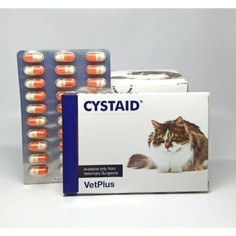 Jual Cystaid Plus Cystaidplus Kapsul Obat Gangguan Saluran Kencing ...