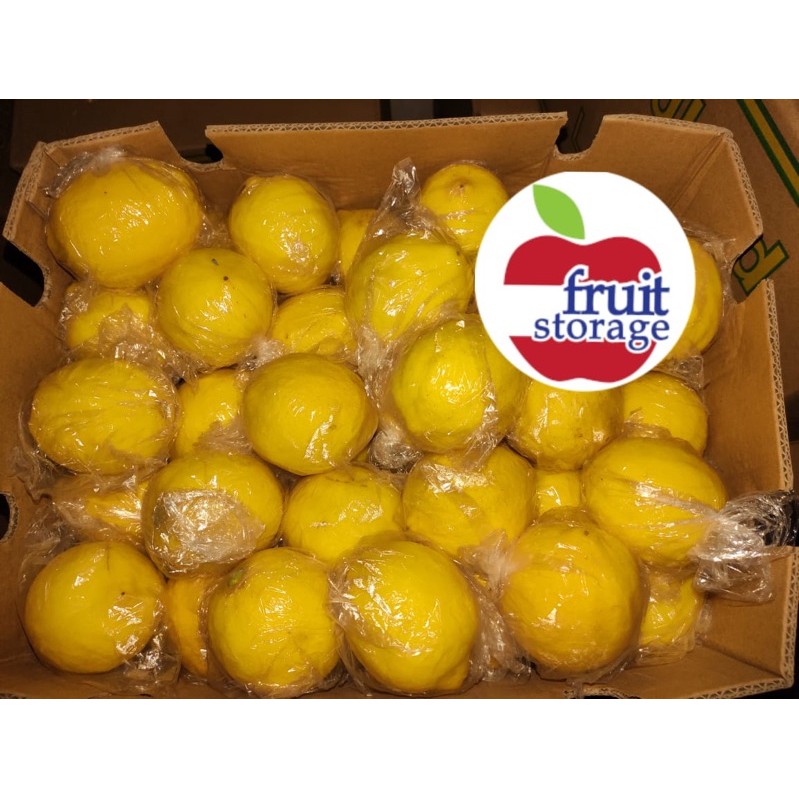 Jual Lemon Import Australia kiloan fresh segar China RRC Buah 1kg ...