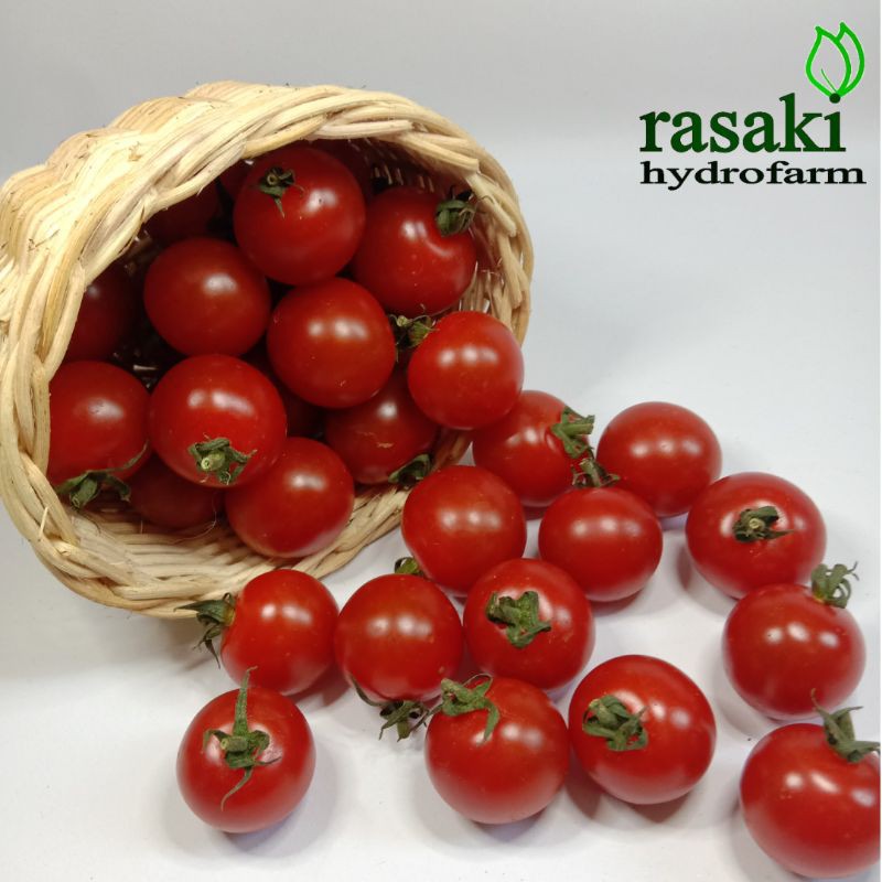 Jual Tomat ceri 250gr | Shopee Indonesia