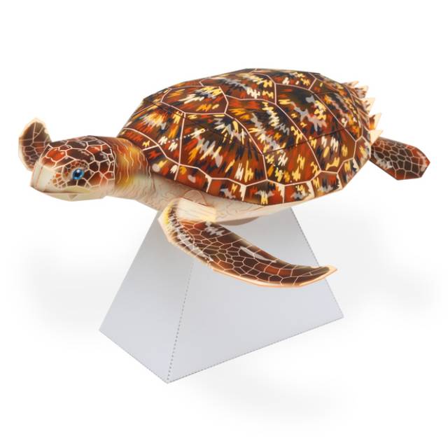 Jual Sea Turtle Papercraft | Shopee Indonesia