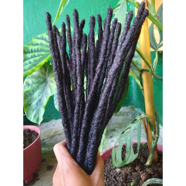 Jual RAMBUT GIMBAL PAKET UNDERCUT 30 CM / DREADLOCK EXTENSION / GIMBAL ...