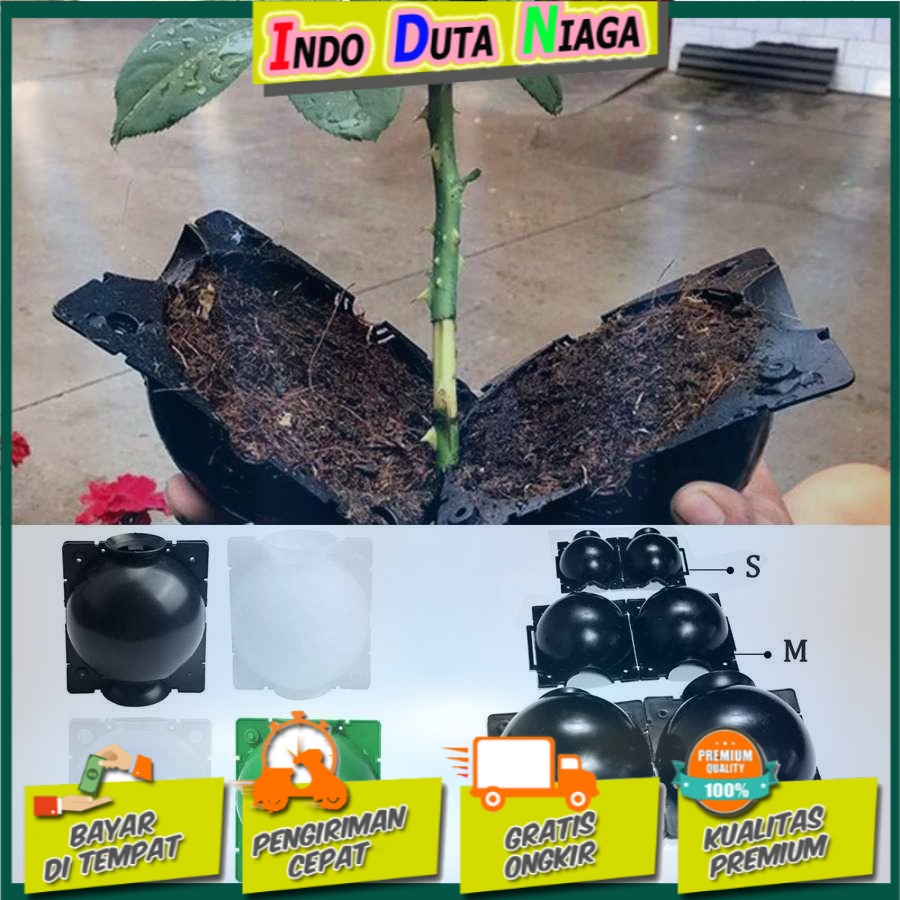 Jual Pot Tanaman Hias High Pressure Plant Root Growing Box Size Medium ...