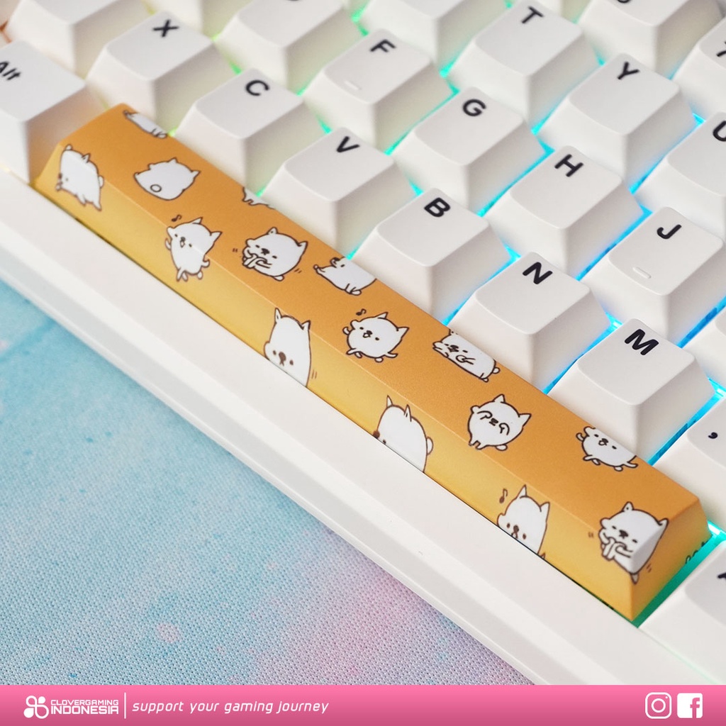 Jual Keycaps CLV Spacebar PBT Dye Sub - 6.25u Space Bar | Shopee Indonesia