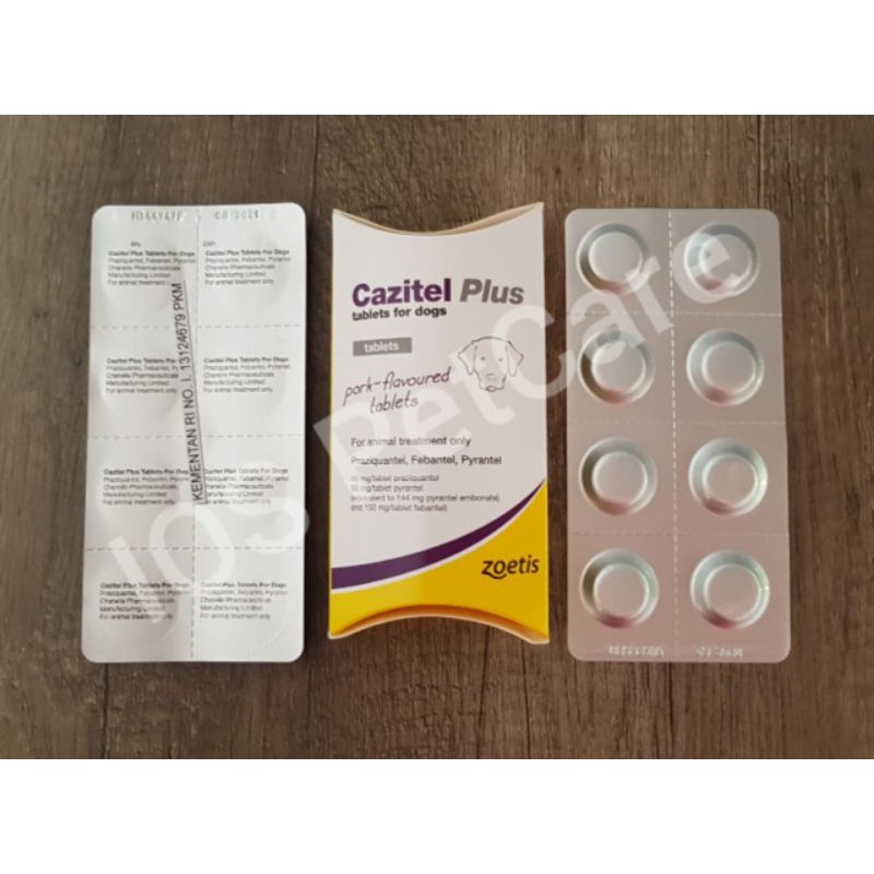 Jual Cazitel plus dog per tablet Ed 01/2025 | Shopee Indonesia