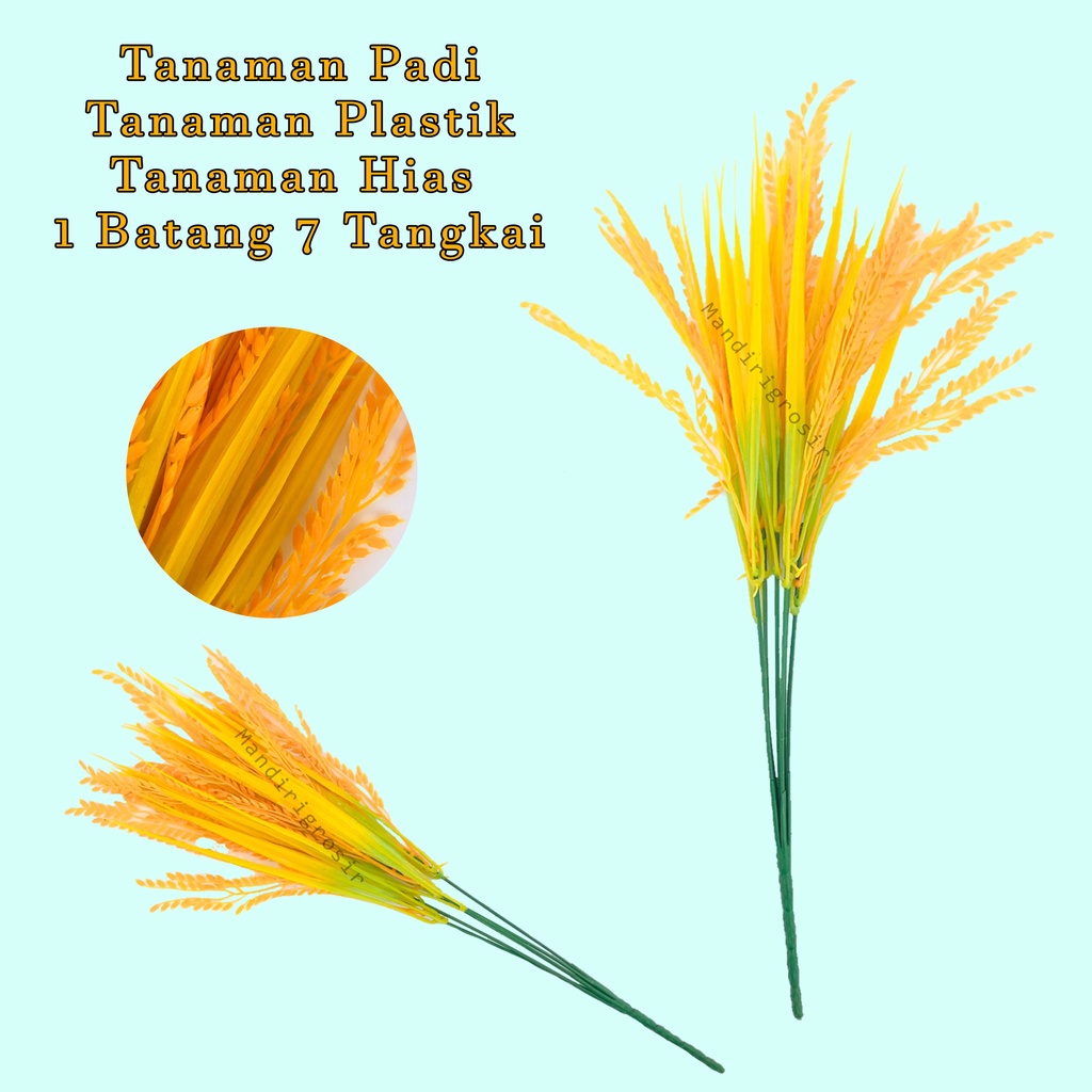 Jual Tanaman Plastik*Tanaman padi *Tanaman Hias *1 batang 7 tangkai ...