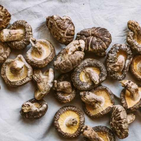 Jual Jamur Shiitake Kering 100gr/ Hioko/ Hyoko Kering/ Shiitake Chinese ...