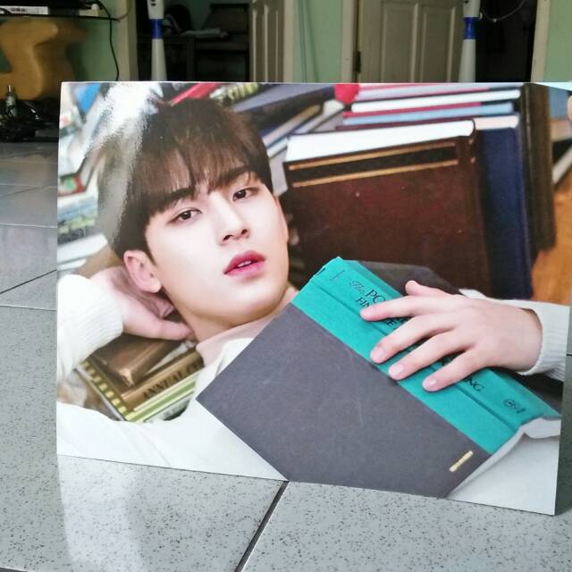 Jual Poster Hand banner Mingyu | Shopee Indonesia