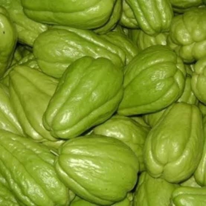 Jual Buah Labu siam besar / Jipang (Sayuran segar) | Shopee Indonesia