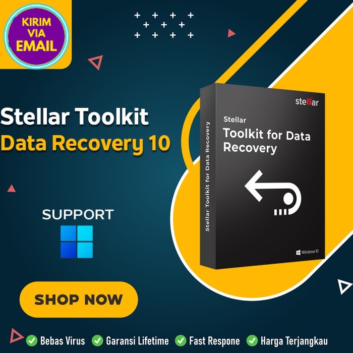Jual Software Recovery Data: Stellar Toolkit for Data Recovery 10 [Win ...