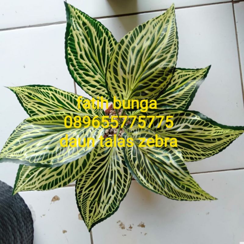 Jual bunga tales zebra artificial | Shopee Indonesia