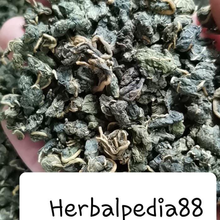 Jual Sang Ye Folium Mori Mulberry Leaf Teh / SangYe Cha / Teh Sang Ye ...