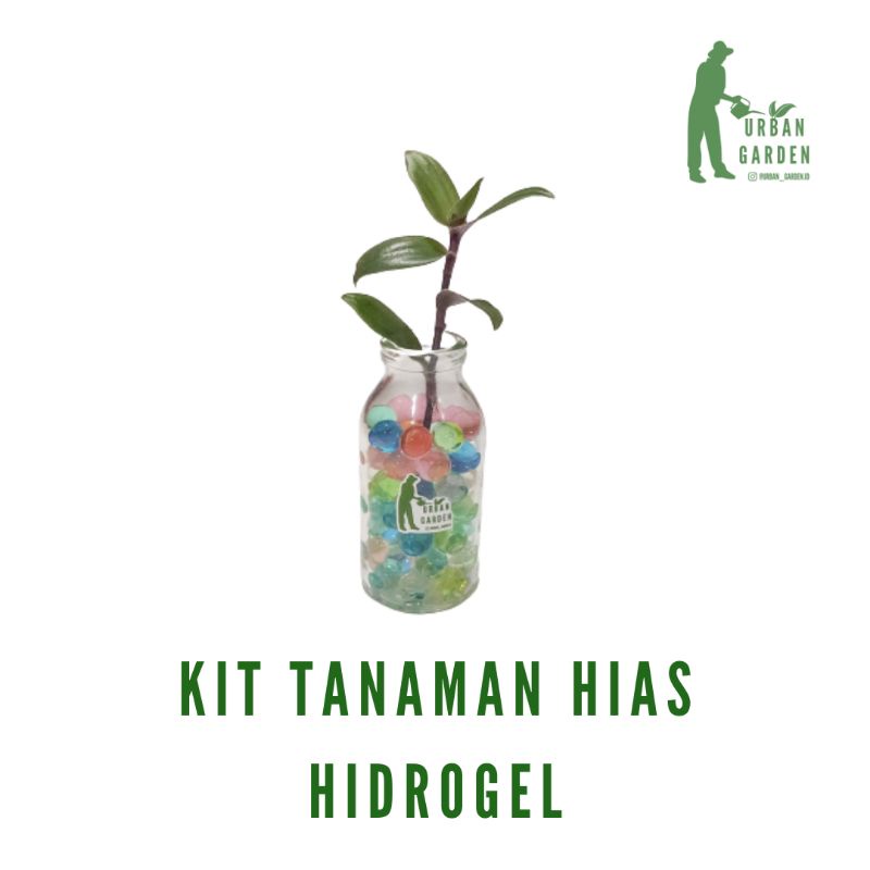 Jual [Urban Garden] Kit Tanaman Hias Hidrogel | Shopee Indonesia