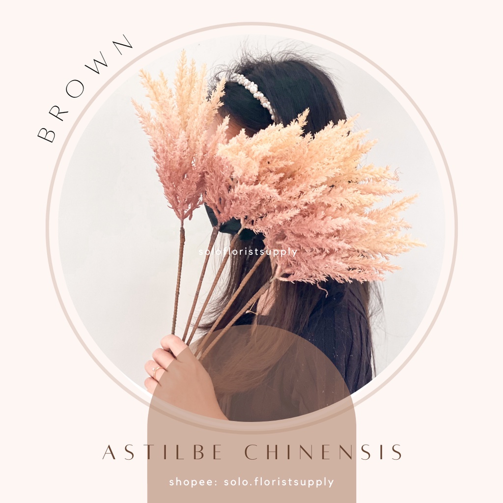 Jual ASTILBE CHINENSIS ARTIFICIAL Bunga Astilbe Tangkai Panjang ...