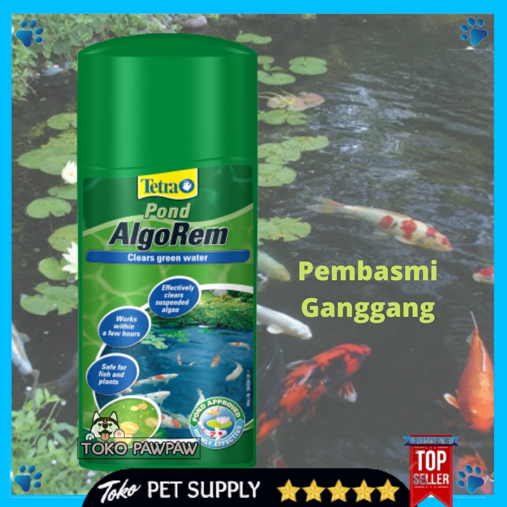 Jual Tetra Pond AlgoRem 250ml Pembasmi Ganggang Apung Kolam Aquarium ...