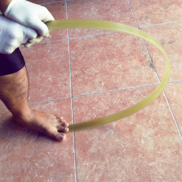 Jual EFG busur panah transparan | Shopee Indonesia