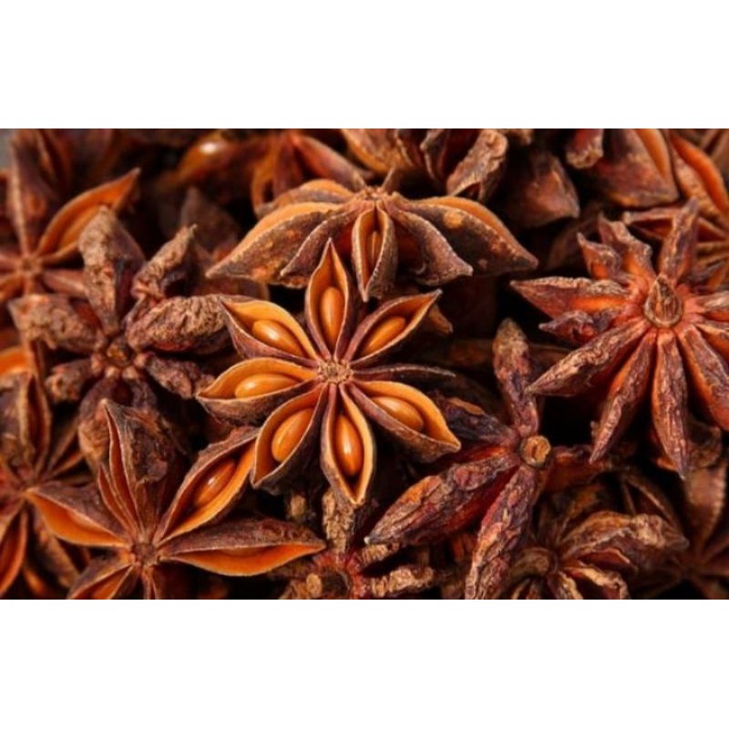 Jual Pekak Bunga Kembang Lawang Kering 500gr Rempah Herbal | Shopee ...