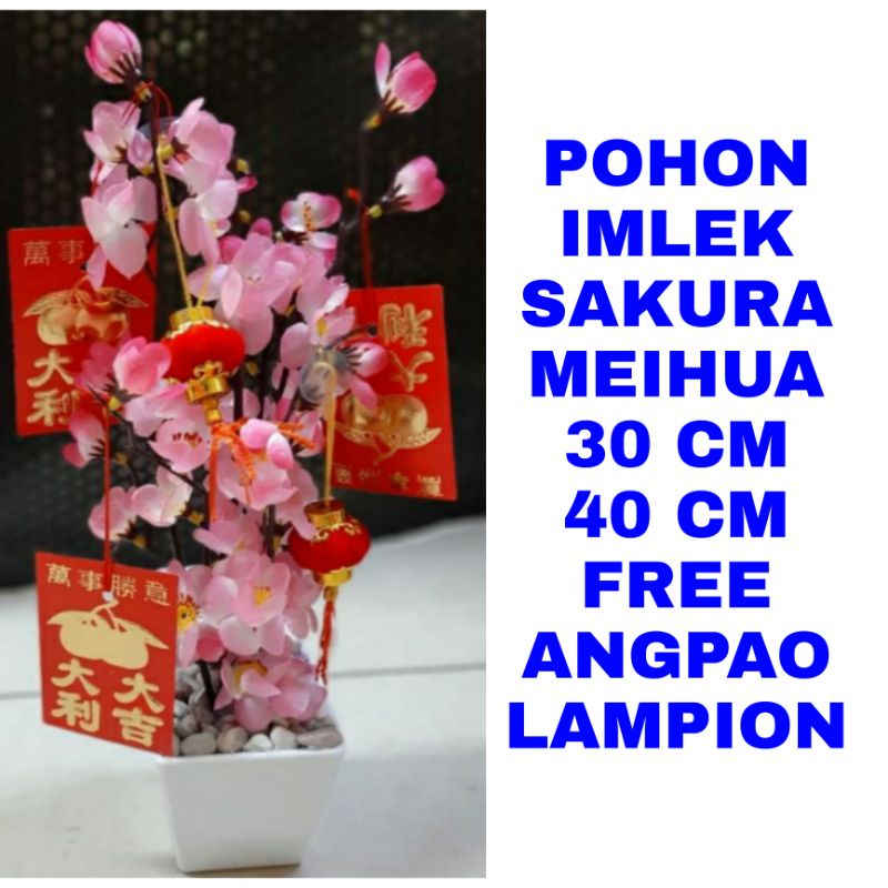 Jual WK POHON IMLEK SAKURA MEHWA MEIHUA FREE LAMPION ANGPAO DEKORASI ...