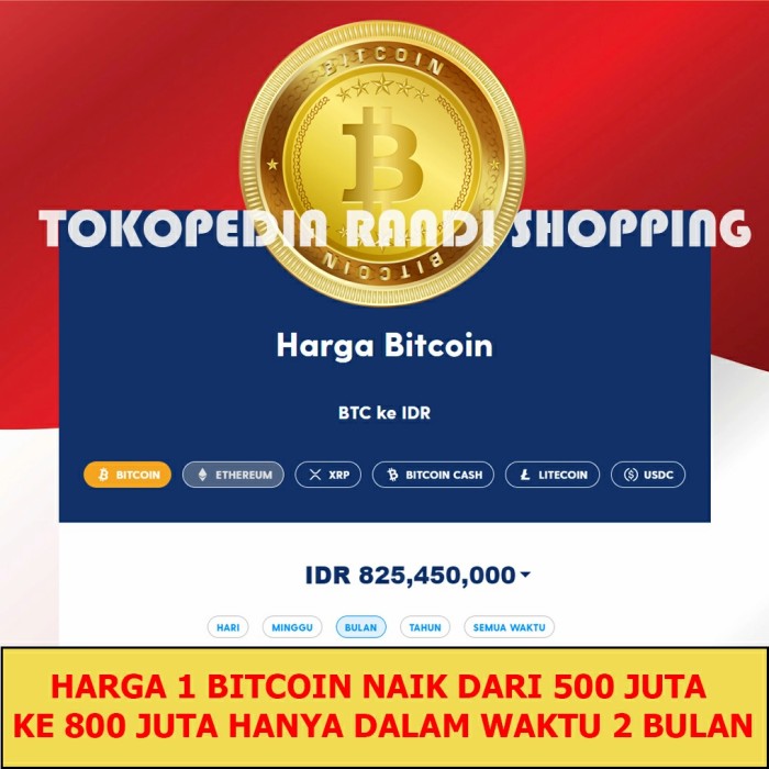 Jual Jasa Pembuatan Bitcoin Mining Pro Cryptocurrency Koin Kripto Digital | Shopee Indonesia