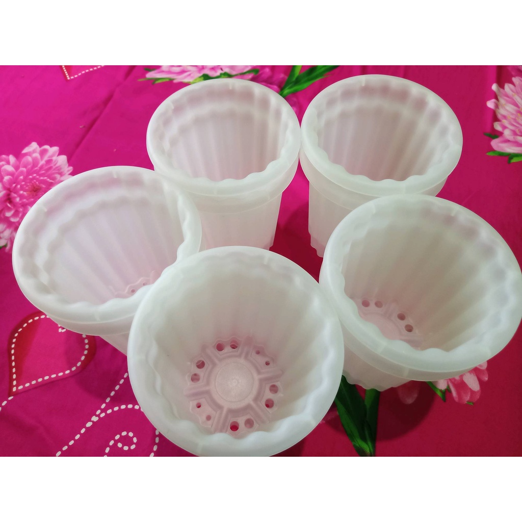 Jual Pot Swiss 13 (15cm) Transparan Pot Ruplas Pot Bunga Pot Tanaman ...