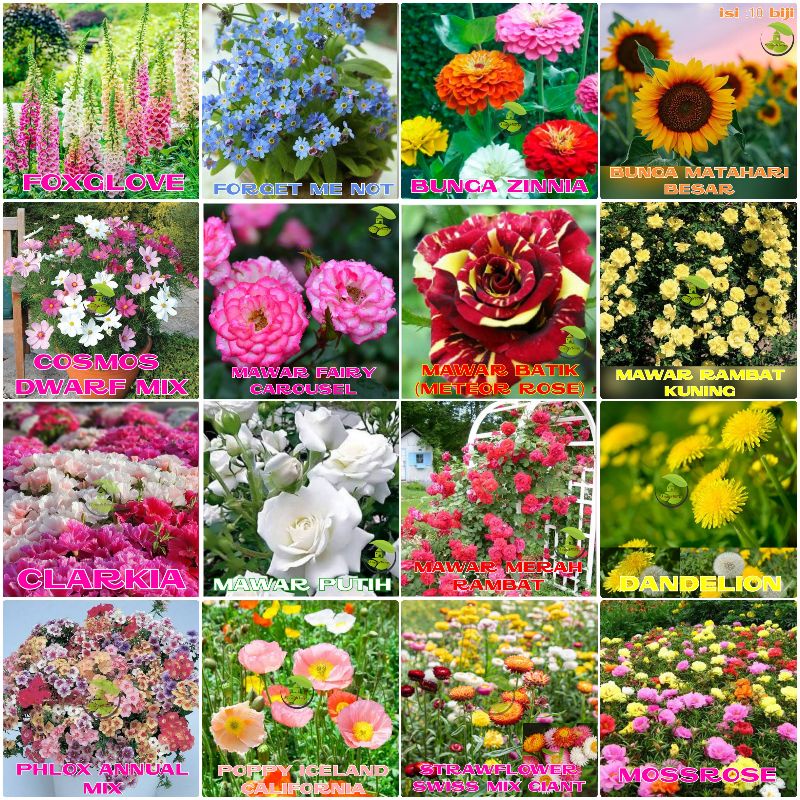 Jual VJ RUMAH BUNGA-Benih Bibit Bunga Hias Benih Bunga Unggul | Shopee ...