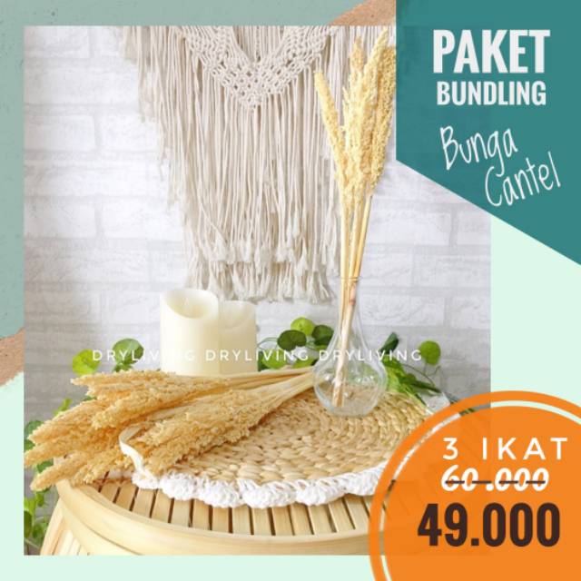 Jual PAKET BUNDLING BUNGA CANTEL 3 IKAT | Shopee Indonesia