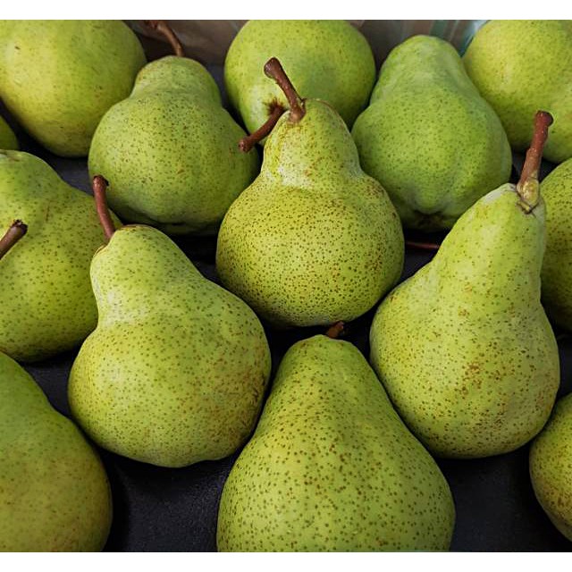 Jual BUAH PEAR PIR PACKHAM HIJAU IJO 800 gram [HAPPY FRUIT] | Shopee ...