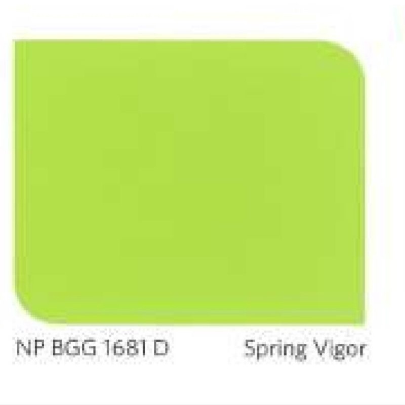 Jual Elastex Spring Vigor 1kg Elastex Waterproof 3in1 Cat Tembok ...