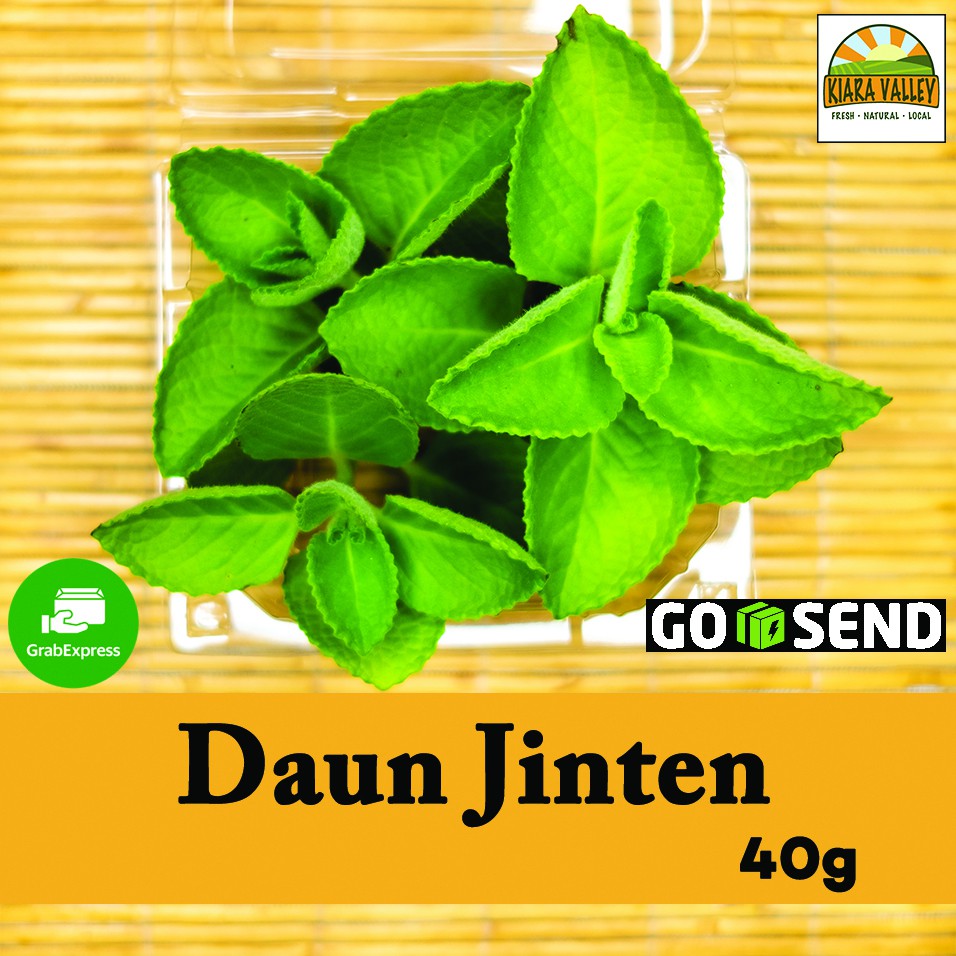 Jual Rempah organik premium - Daun Jinten (per 40g) | Shopee Indonesia