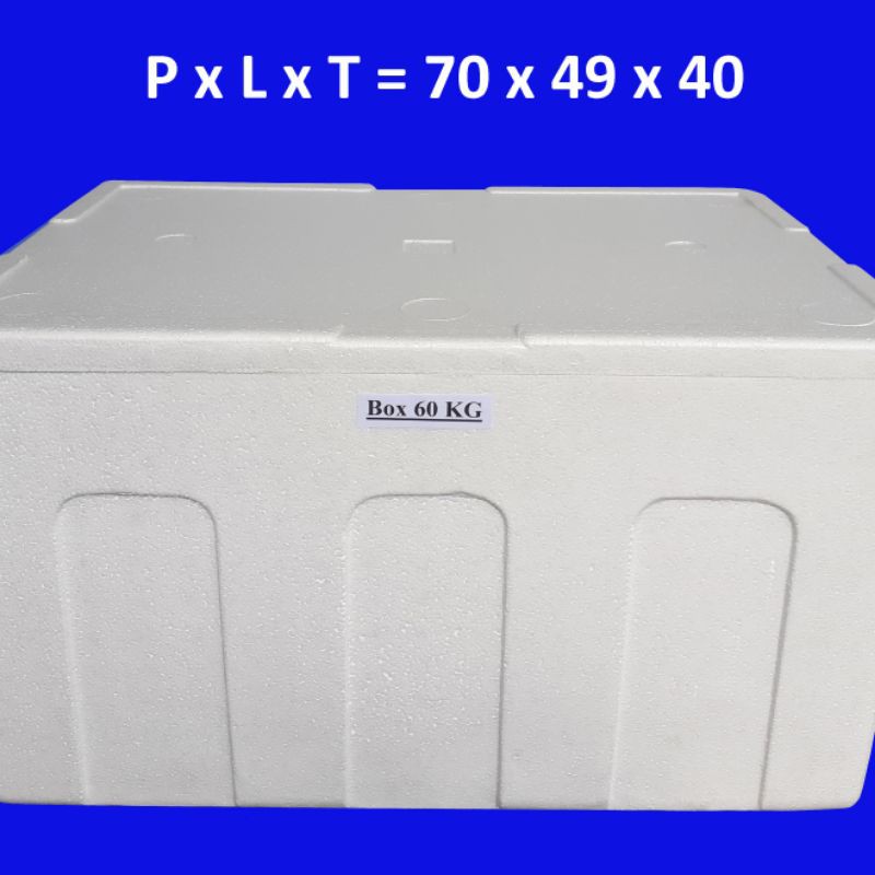 Jual Box Styrofoam Box 60 kg | Shopee Indonesia