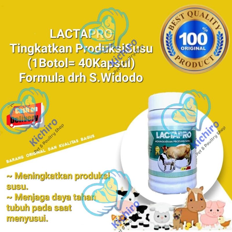 Jual Lactapro isi 40 Kapsul Vitamin Untuk Meningkatkan Produksi Susu Pada Hewan Sapi Kambing ...