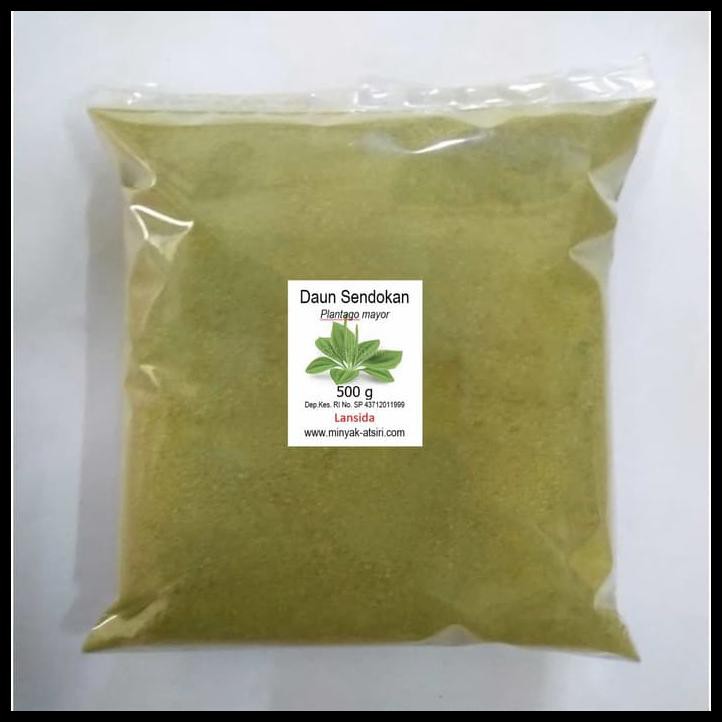 Jual Bubuk Daun Sendok 500 G Serbuk Sendokan Ki Urat Plantago Mayor ...