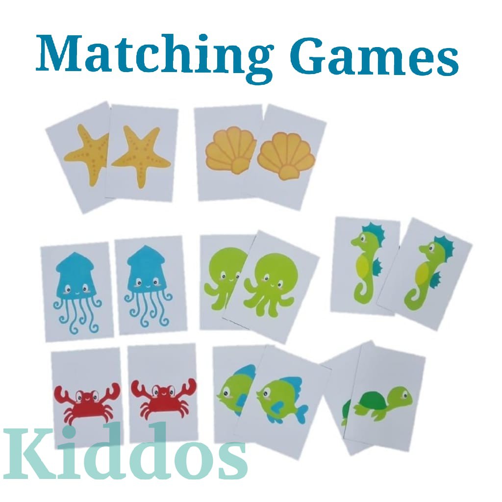 Jual Mainan Edukasi Montesssori Flash Card PAUD Cognition Shadow ...