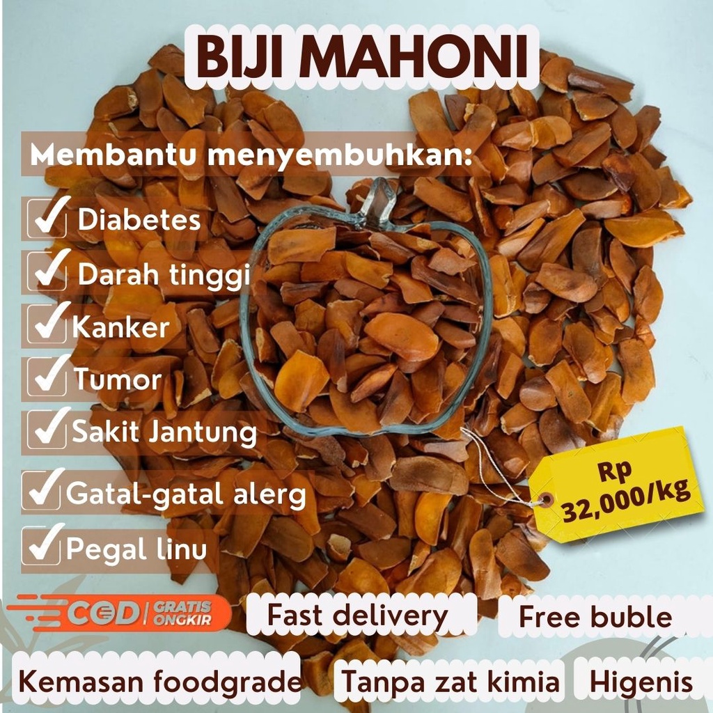 Jual Mahoni Kulit 100% Super Premium | Shopee Indonesia