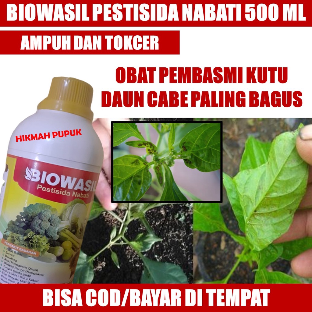 Jual (COD BAYAR DI TEMPAT) BIOWASIL isi 500 ML PESTISIDA HAMA KUTU DAUN ...