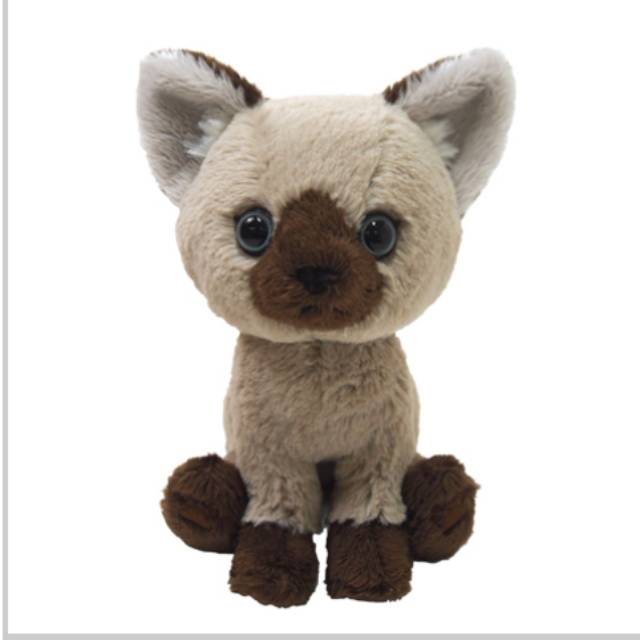 Jual Sunlemon Siamese Cat | Shopee Indonesia