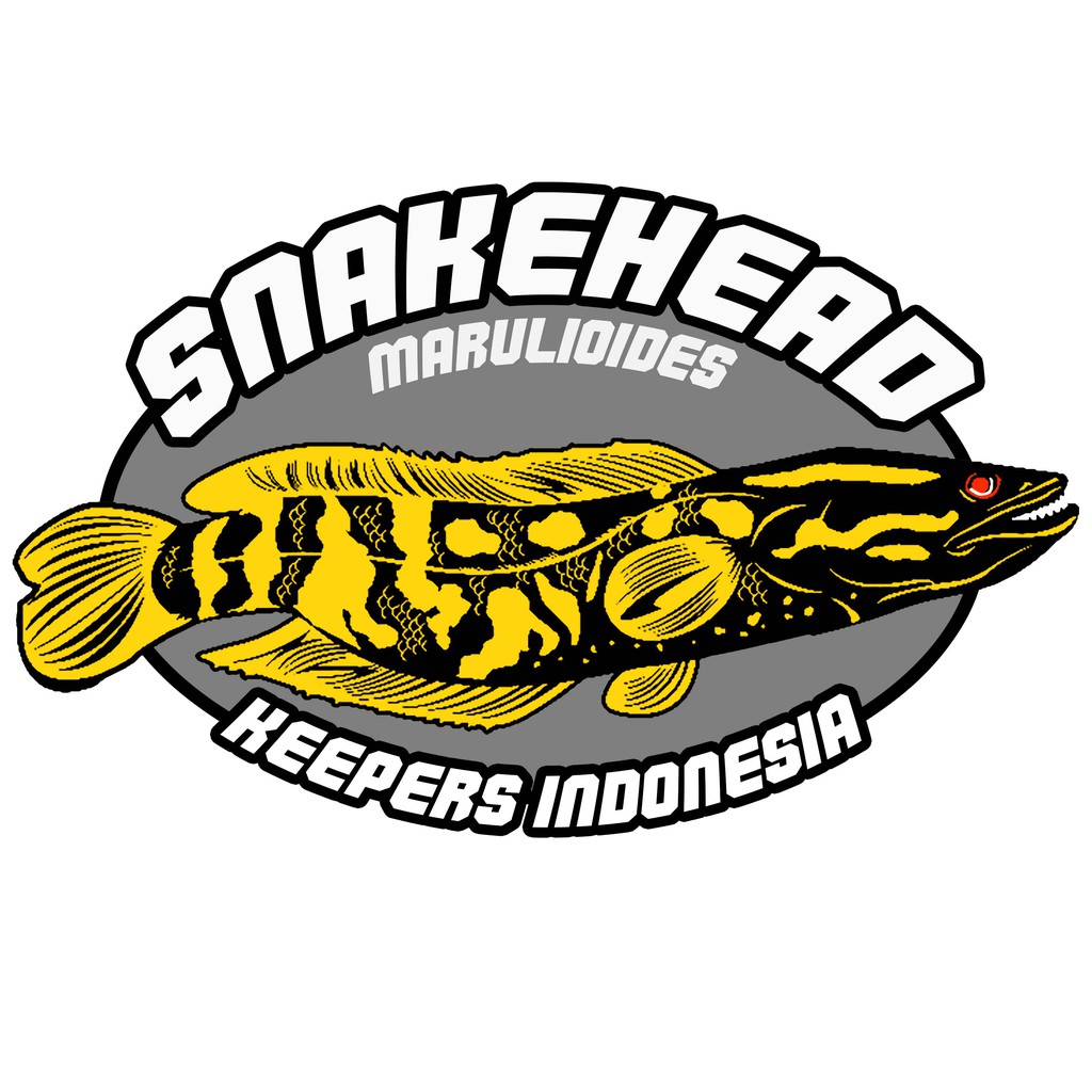 Jual sticker channa sticker snakehead stiker ikan predator sticker ...
