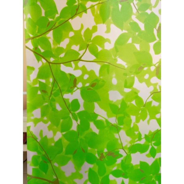 Jual stiker kaca motif daun hijau ranting coklat | Shopee Indonesia