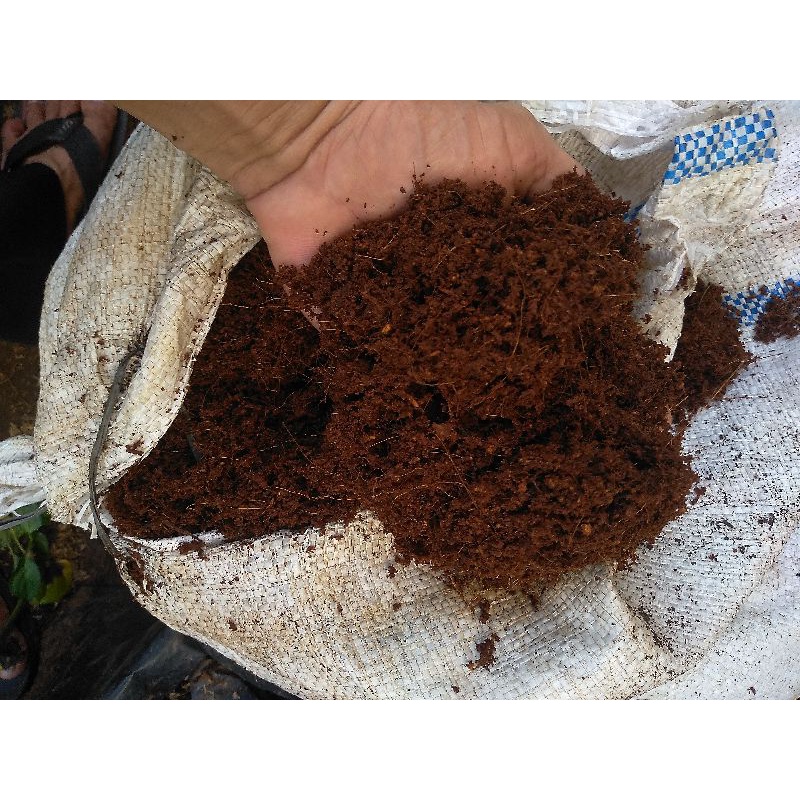 Jual media tanam cocopeat,kokopit,sabut kelapa.500g | Shopee Indonesia