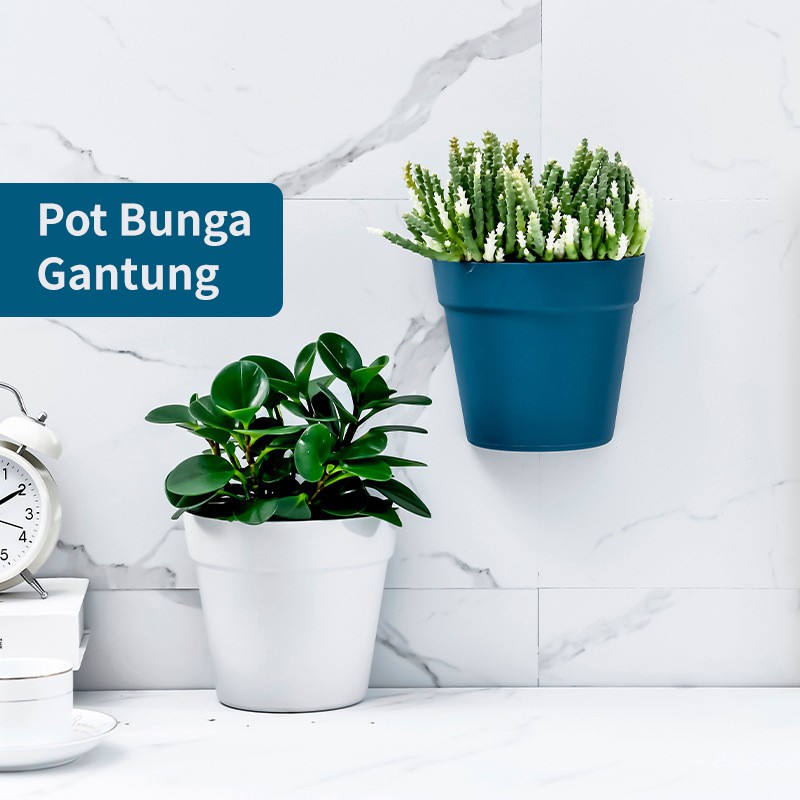 Jual Starlight Vas Bunga Terrarium Tempel Plastik Dekorasi Ruangan ...