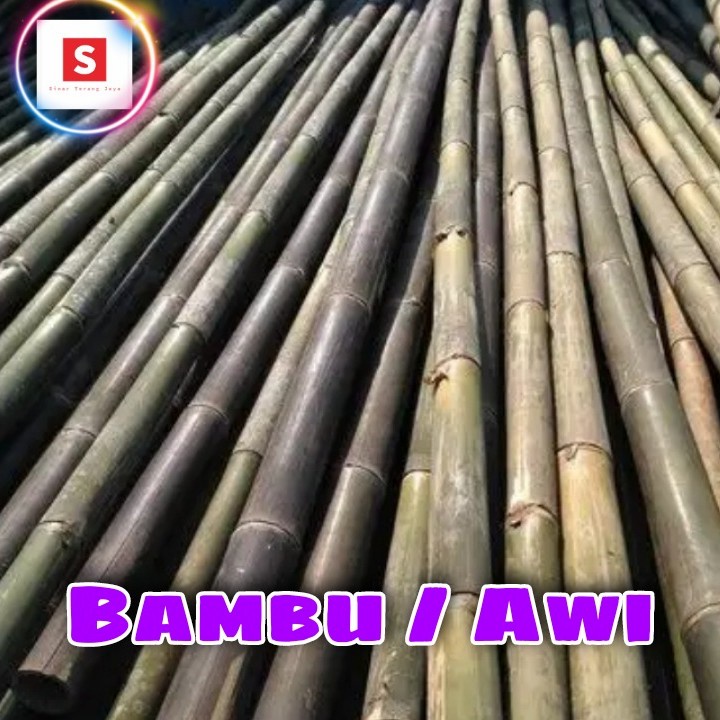 Jual BAMBU Proyek / AWI Steger Bangunan | Shopee Indonesia