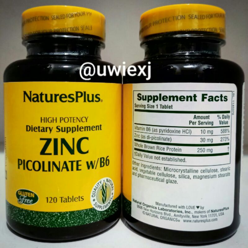 Jual Natures plus zinc picolinate w/B6 isi 120 tablets | Shopee Indonesia