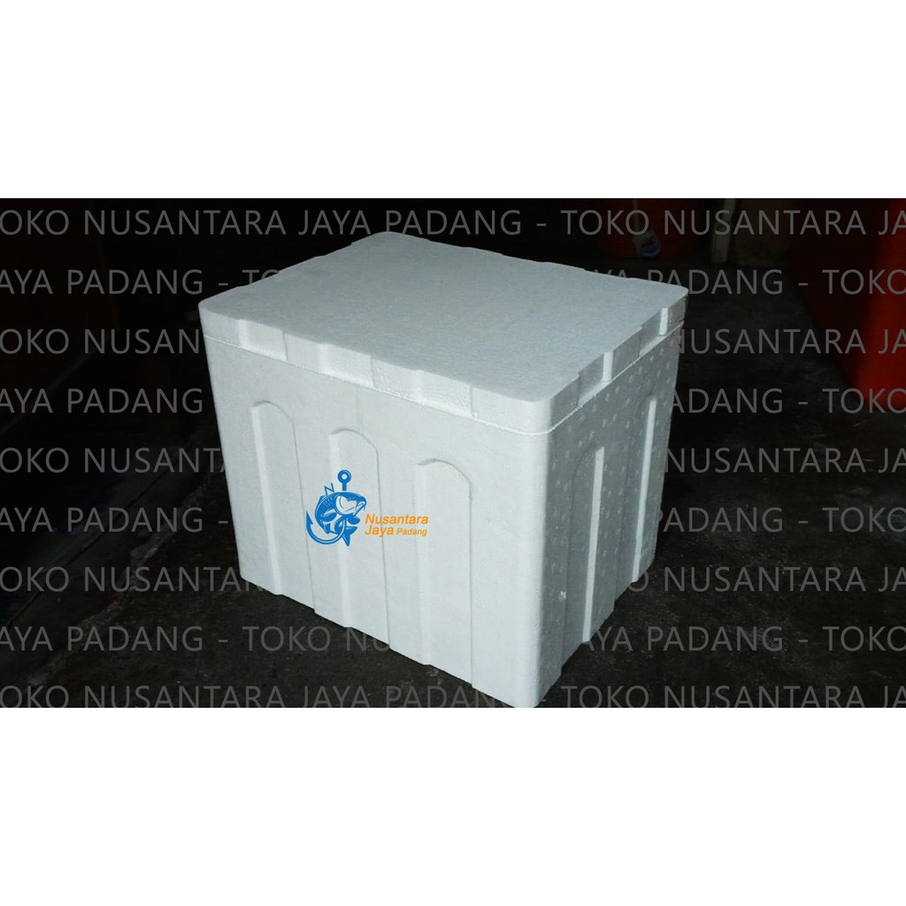 Jual Box Styrofoam Gabus 10 Kg | Shopee Indonesia