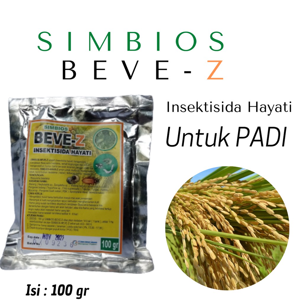Jual INSEKTISIDA hama padi, Obat hayati beauveria bassiana Tanaman Padi ...