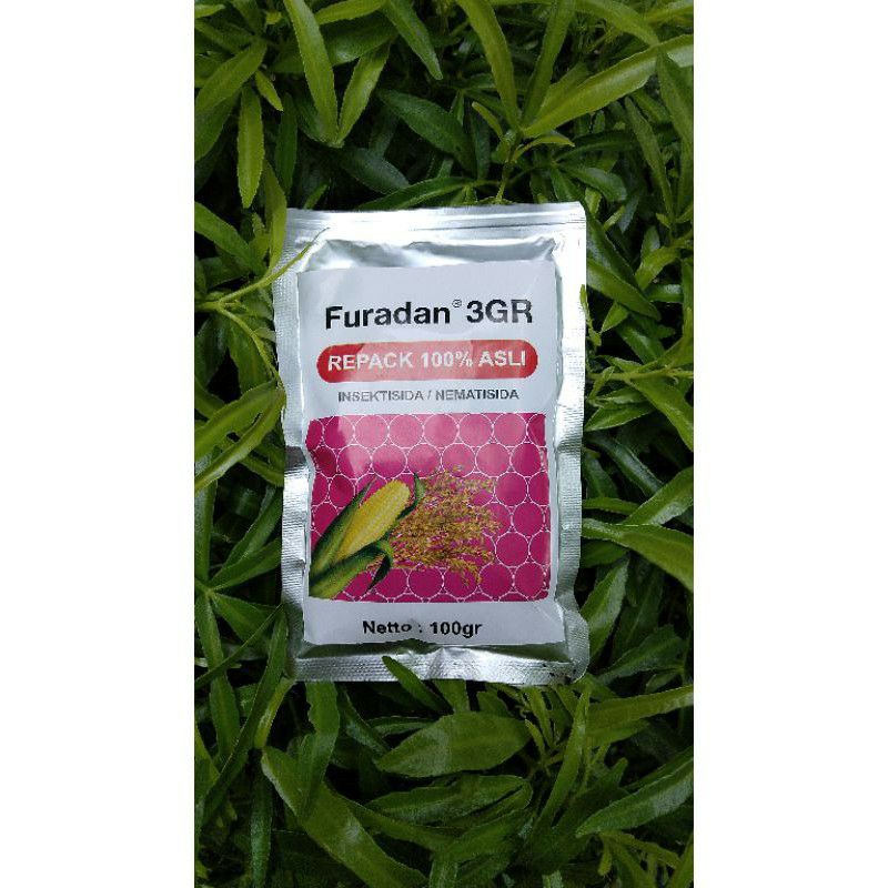 Jual Furadan 3 GR 100 Gram Insektisida Nematisida Pembasmi Serangga dan ...