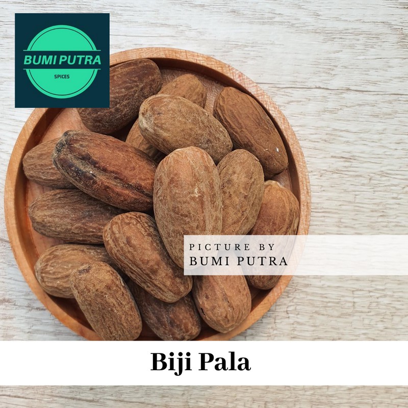 Jual Biji pala panjang / lonjong 1 kg | Shopee Indonesia