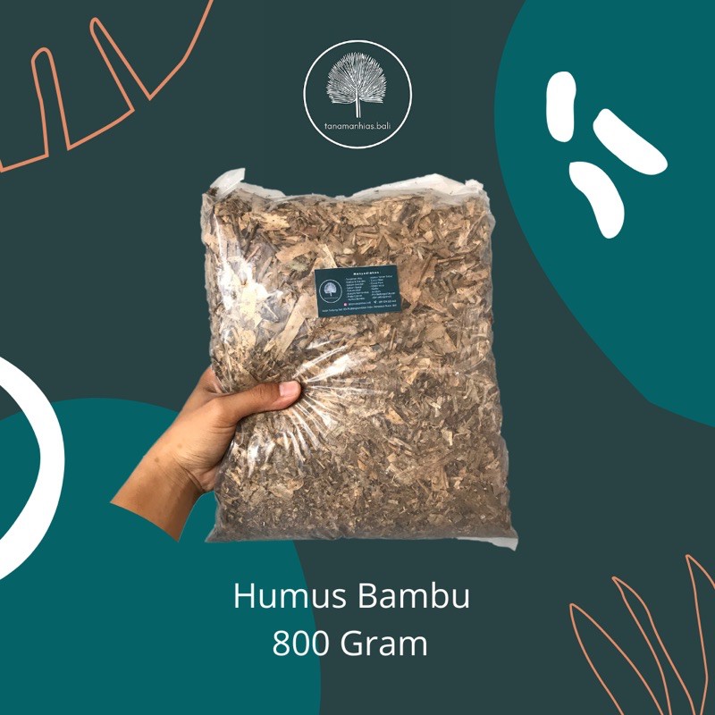 Jual Humus Daun Bambu 800 Gram | Shopee Indonesia