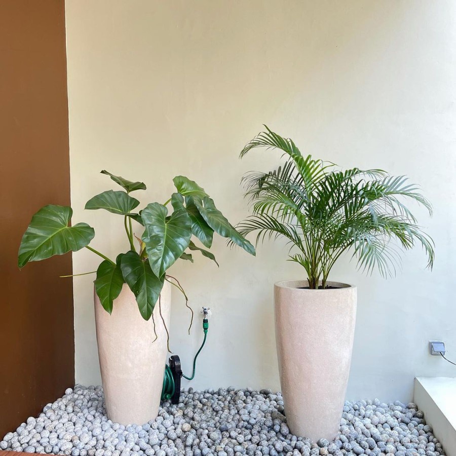 Jual Pot Vast Teraso Diameter 40 Cm TD | Shopee Indonesia