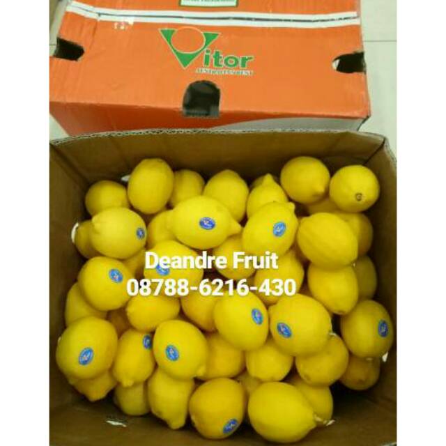 Jual Buah Lemon Australia 15-16kg HARGA GUDANG DIJAMIN MURAH | Shopee ...