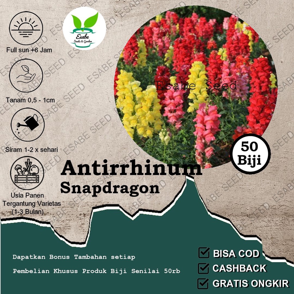 Jual Benih Biji Bunga Antirrhinum Snapdragon Tetra Mixed | Shopee Indonesia